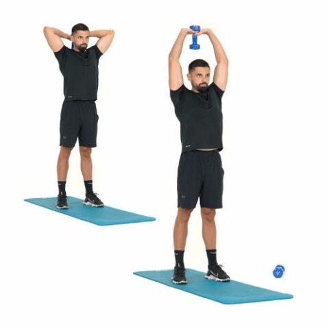 5 Exercices pour De GROS BRAS à la Maison (Sans Matériel) – Programme ...