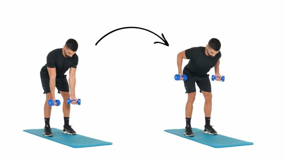 Rowing avec haltères : exercice pour les épaules